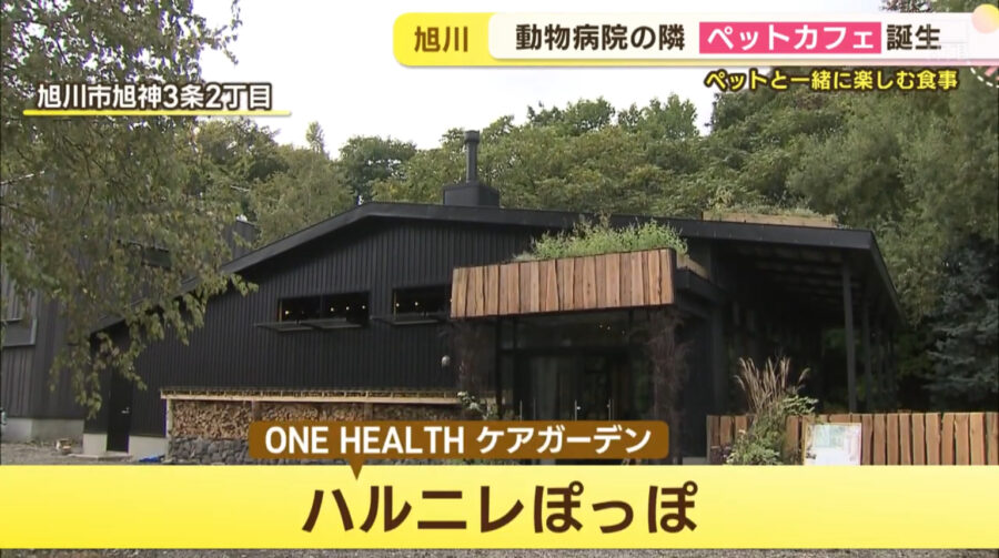 HTBテレビ「イチオシ‼」でご紹介いただきました！｜緑の森どうぶつ病院
